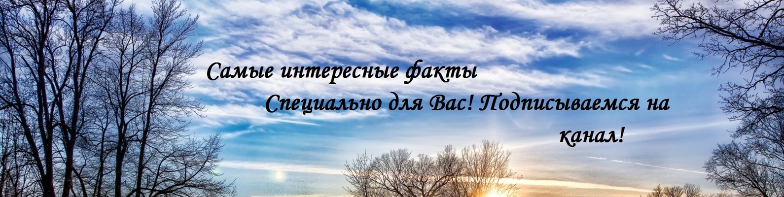 Ray fact | Всё самое интересное для Вас) 2026 | ВКонтакте